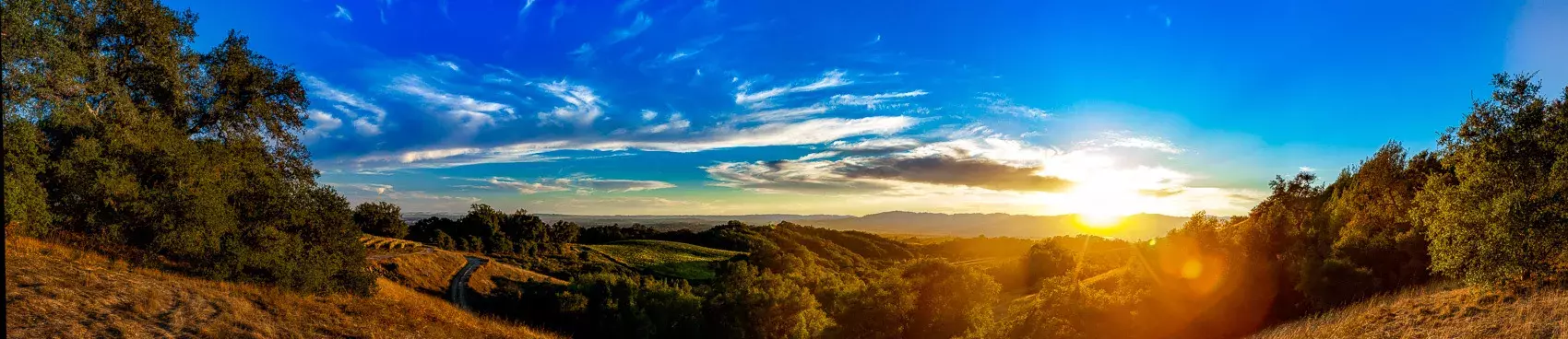 Attend Thursday Night Sunset Happy Hour 9/5/24 by registering on CellarPass