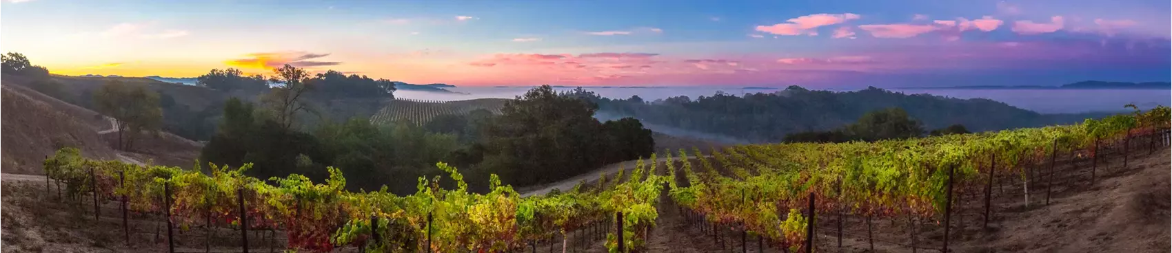 Attend Thursday Night Sunset Happy Hour 9/4/25 by registering on CellarPass